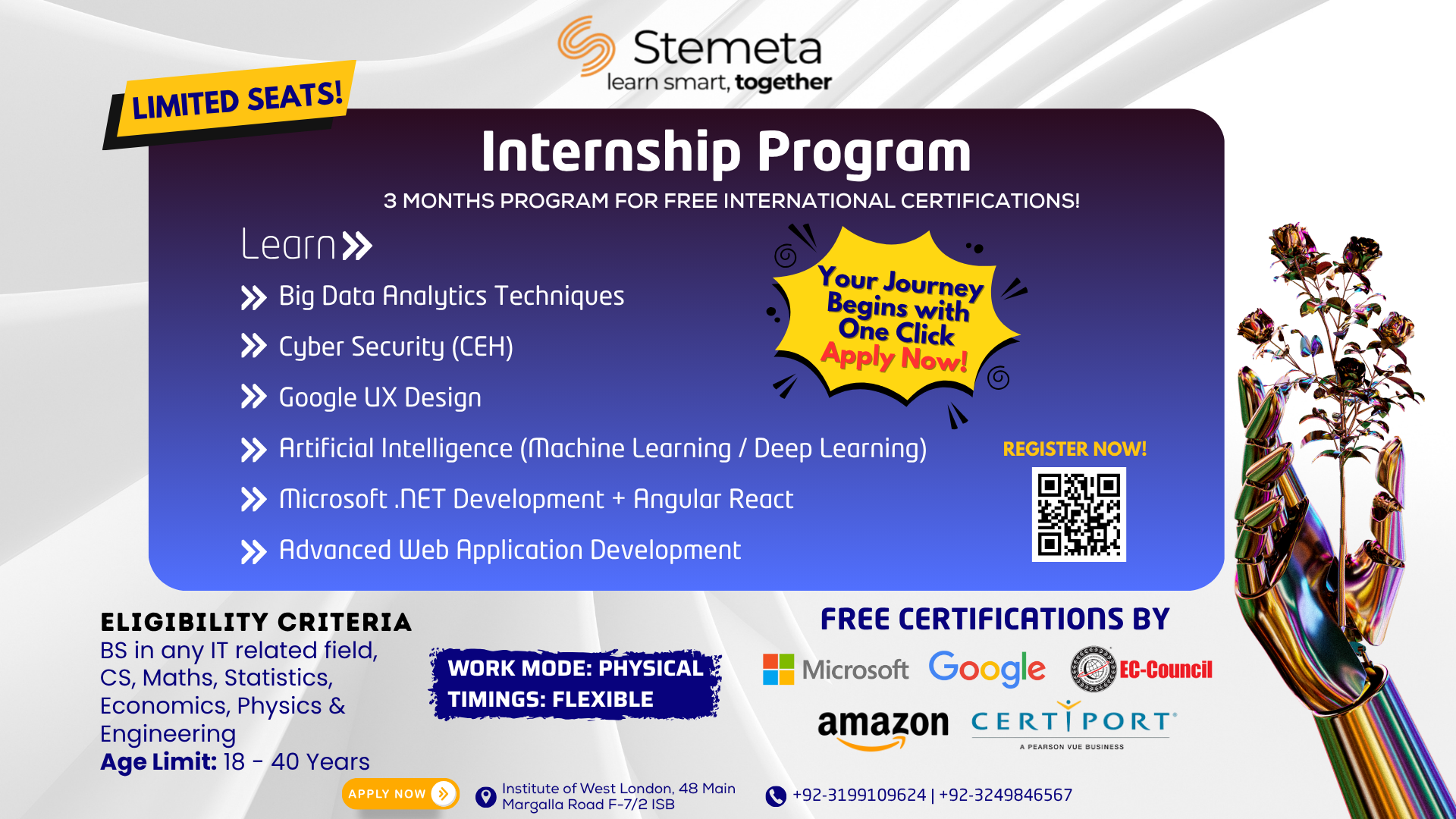 STEMETA Internship Program